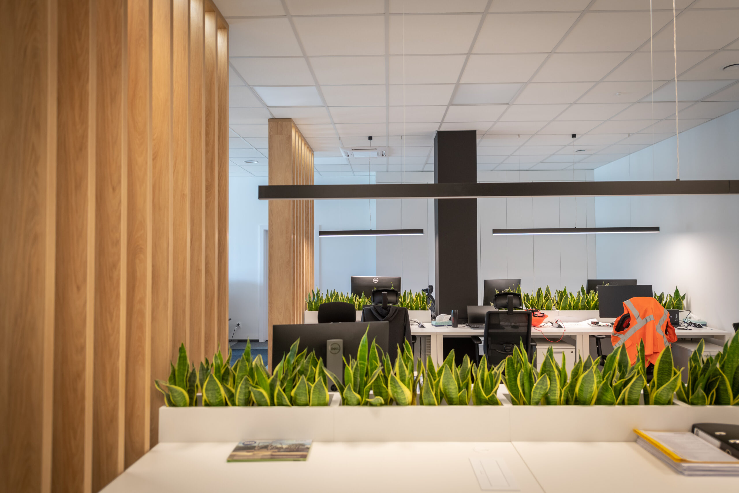 Aktualności - Blue Assets